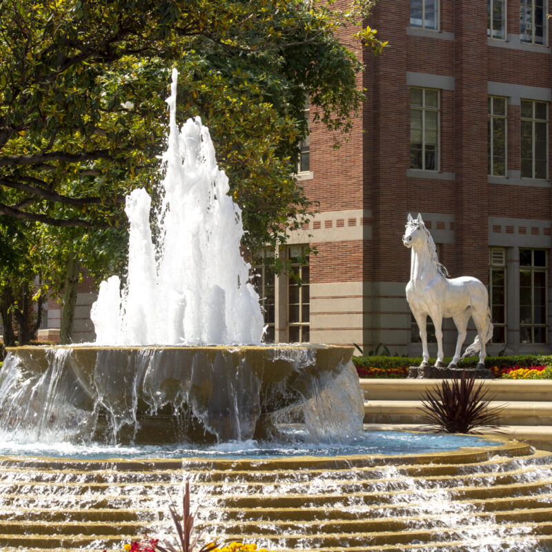 Admitted Students Next Steps – USC Viterbi | Undergraduate Admission